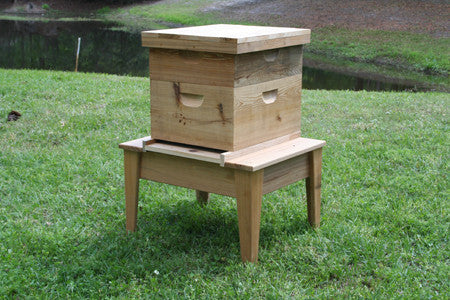 beekeeping hive stand